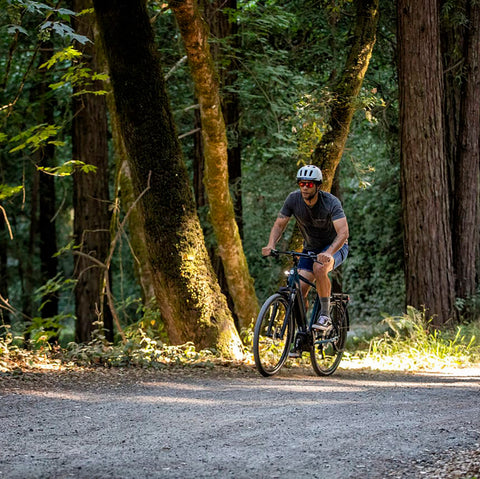 Gazelle E-Bikes | Authorized Dealer – Bixby Bicycles